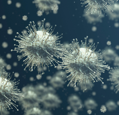 Intensive Care Society | Adult Seasonal Influenza